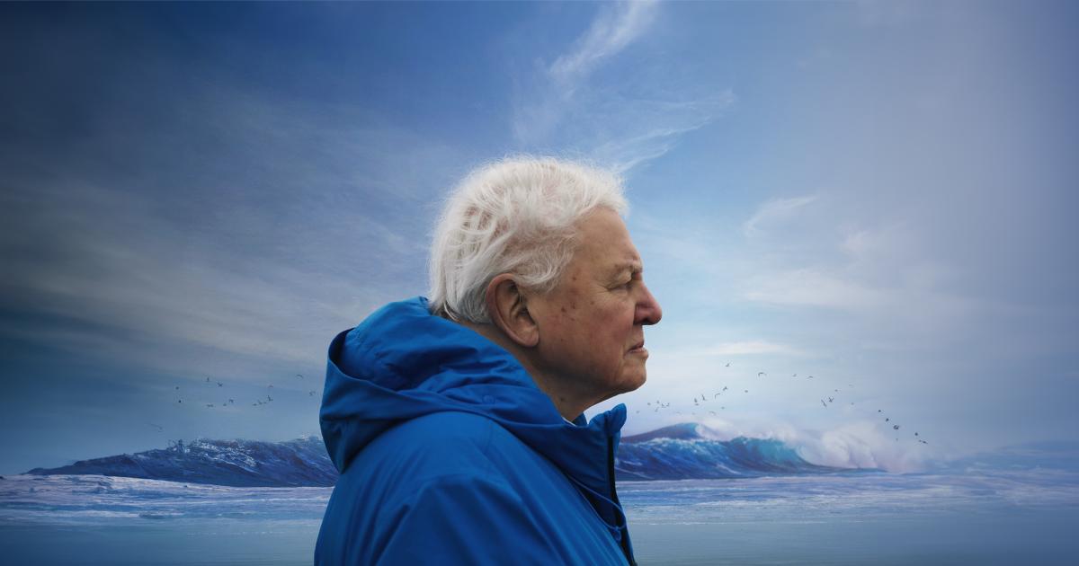 Ocean with David Attenborough – free documentary screening | UNSW Sydney
